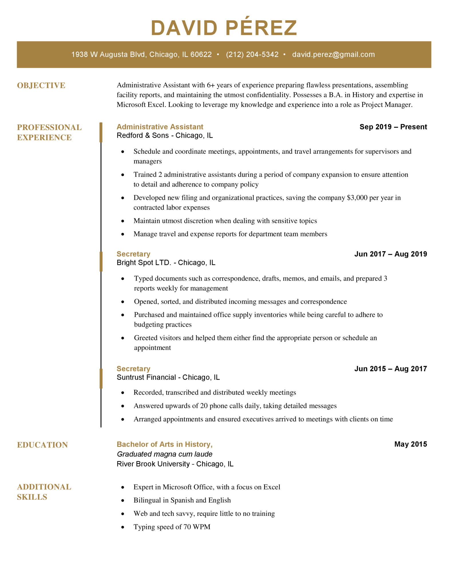 Executive Resume Gold Download Free Professional Resume