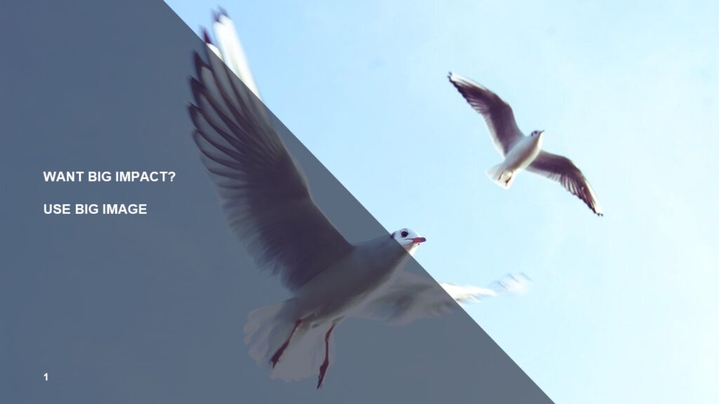 Section Divider for powerpoint Presentation free