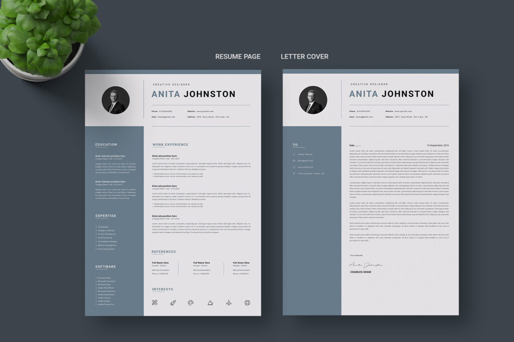 Download Accounting Internship Brain Powerpoint Infographic Template 